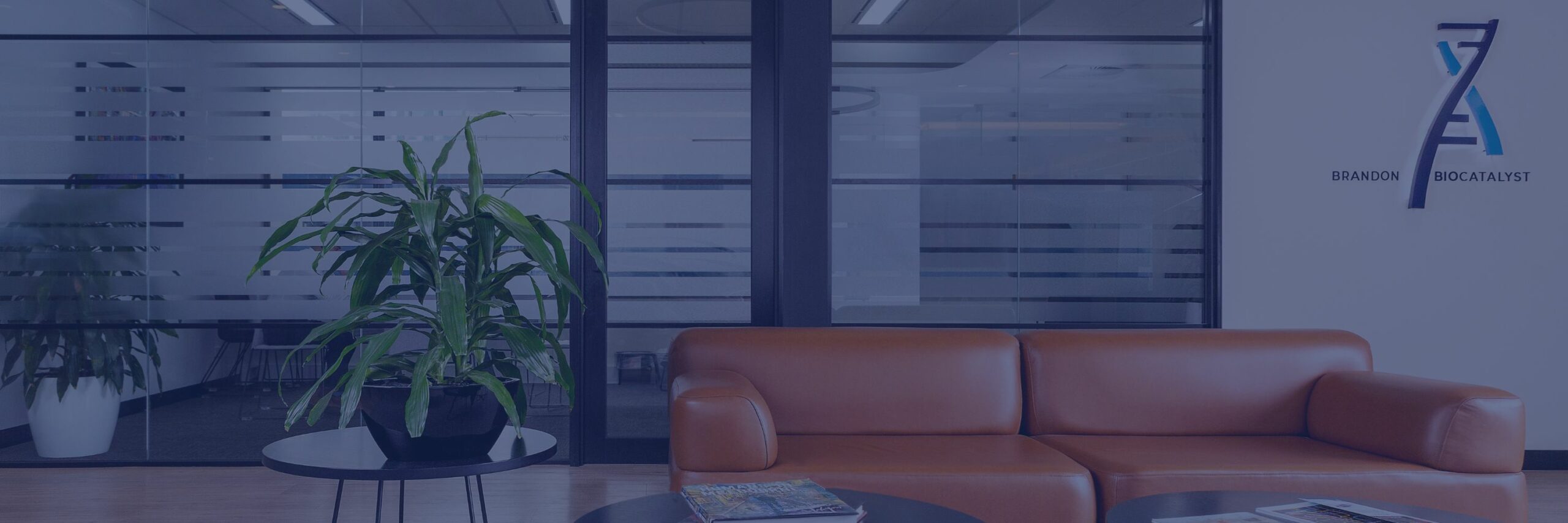 Brandon BioCatalyst - Brandon Capital